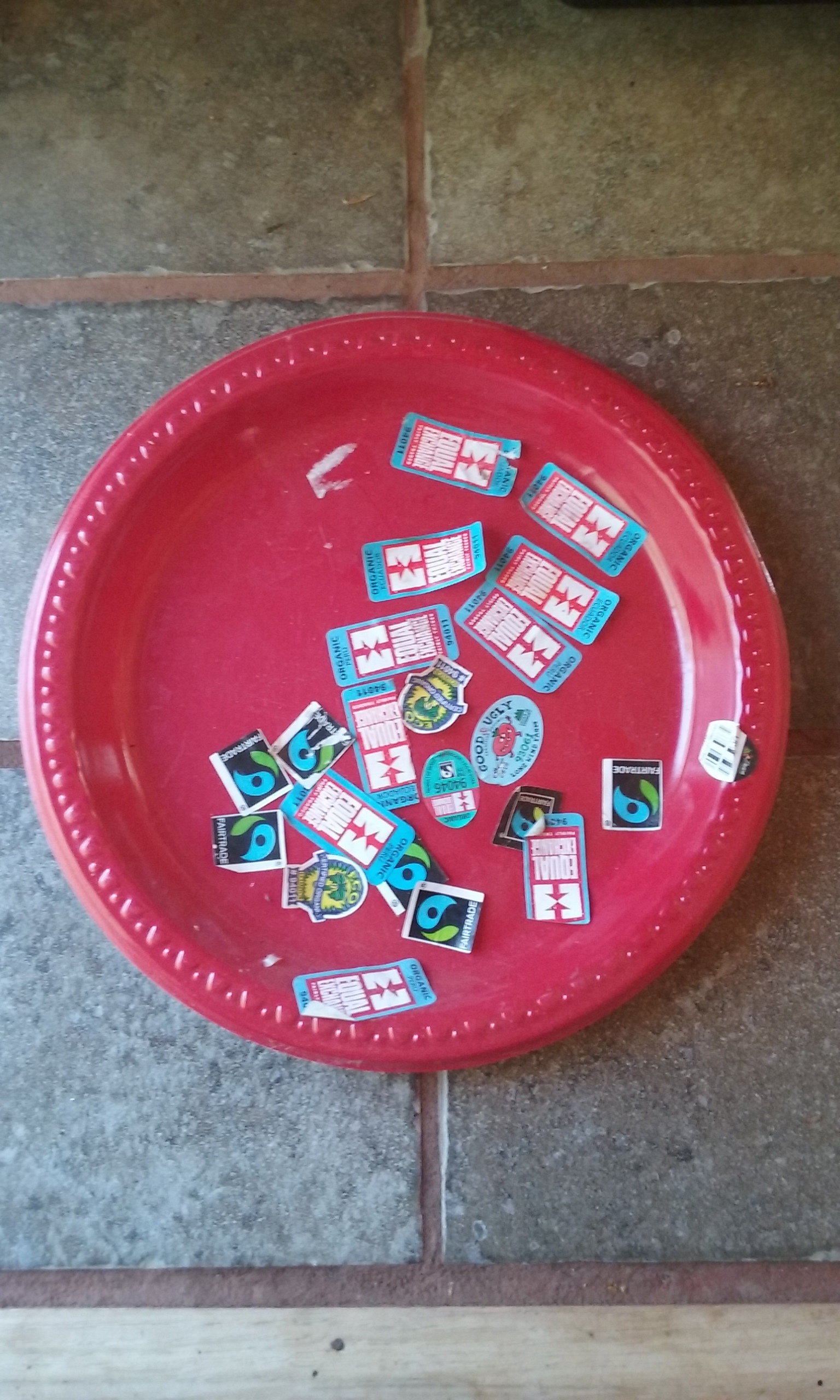 Plastic Protest Art – Carol Langstaff Photographs